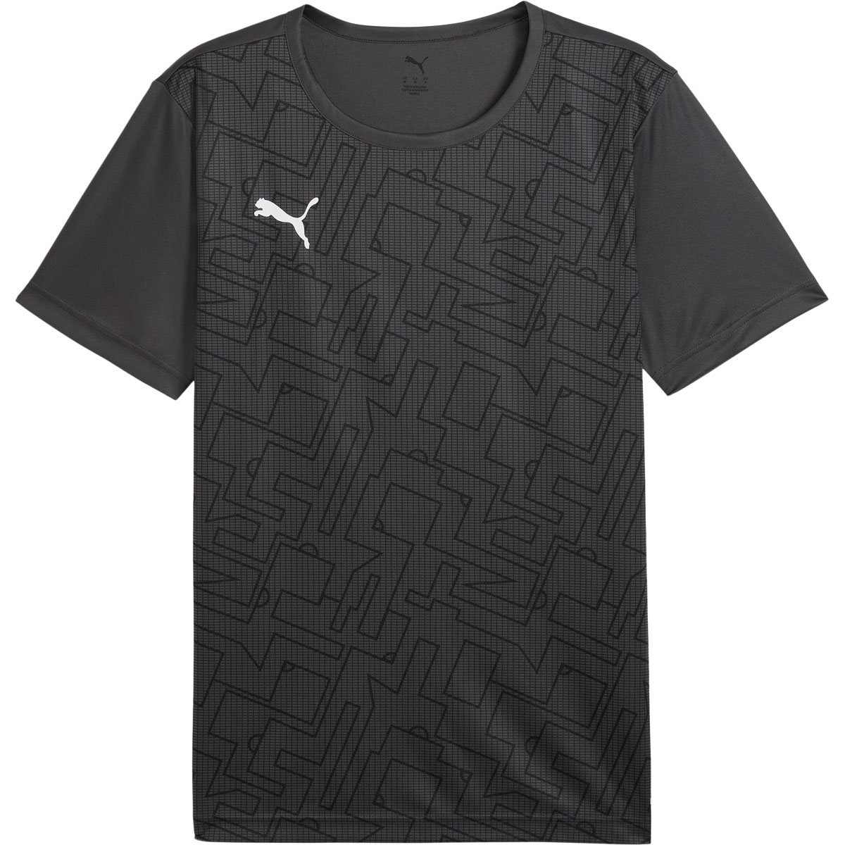 Køb PUMA individualRISE Graphic Trænings T-shirt Herre Grey