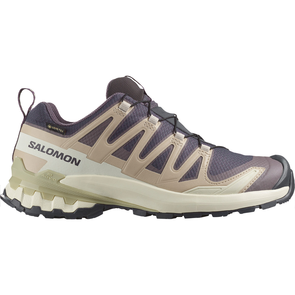 Koop Salomon XA Pro 3D V9 GTX Wandelschoenen Dames in Nine Iron/Oxford ...