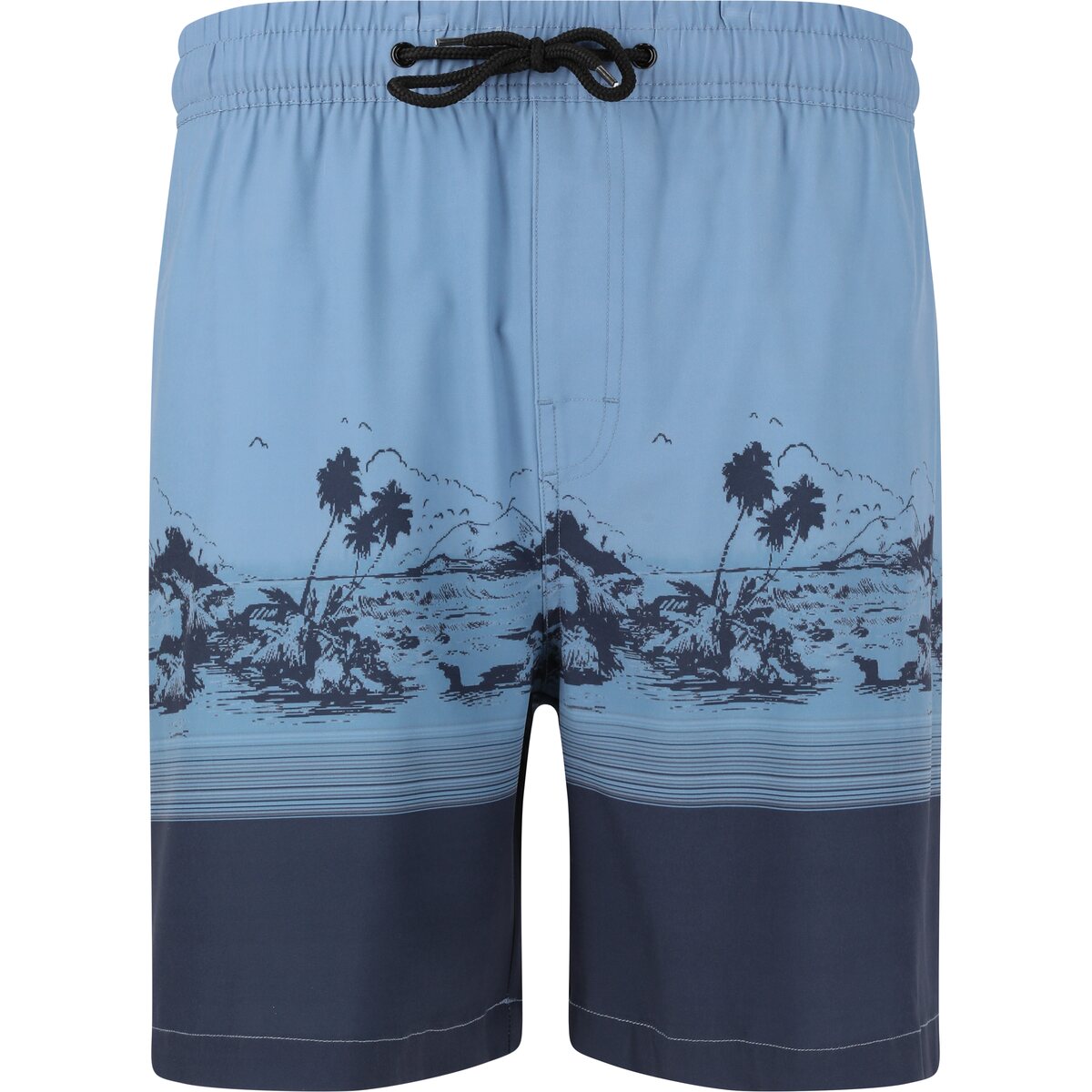 Kjøp Cruz Hector Board Badeshorts Herre i Print 3612 Blue Wave